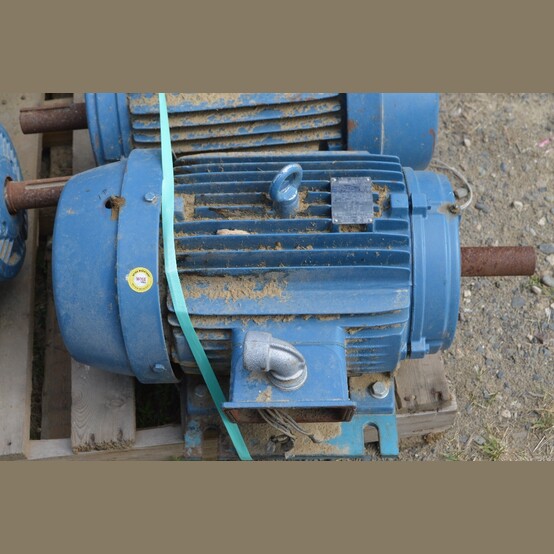 WEG 20 HP Electric Motor