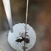 210 Gallon Plastic Mixing Tank