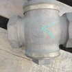 Flowrite II Pneumatic Globe Valve
