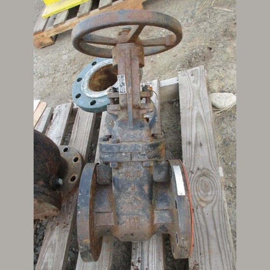 Crane 4in Gate Valve