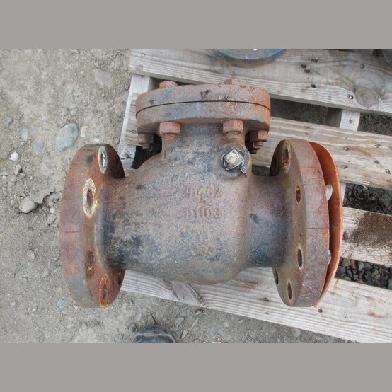 Crane 4in Check Valve