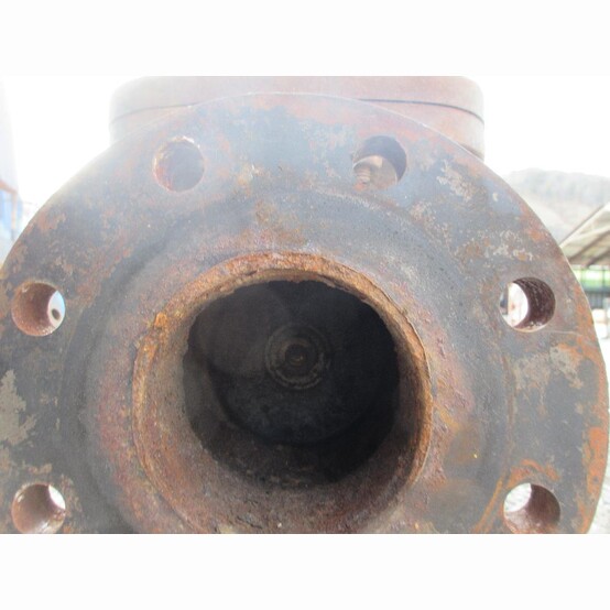 Crane 4in Check Valve
