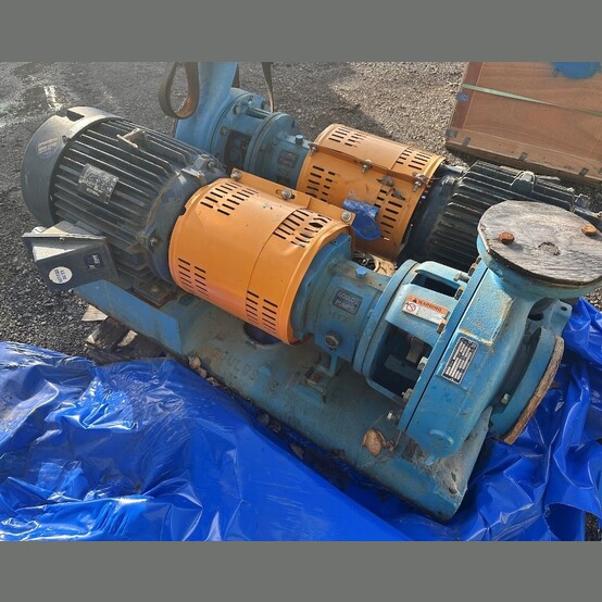 Goulds 3in x 4in 3196 Centrifugal Pump