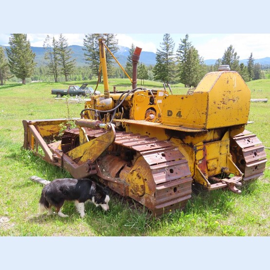 CAT D4 Dozer