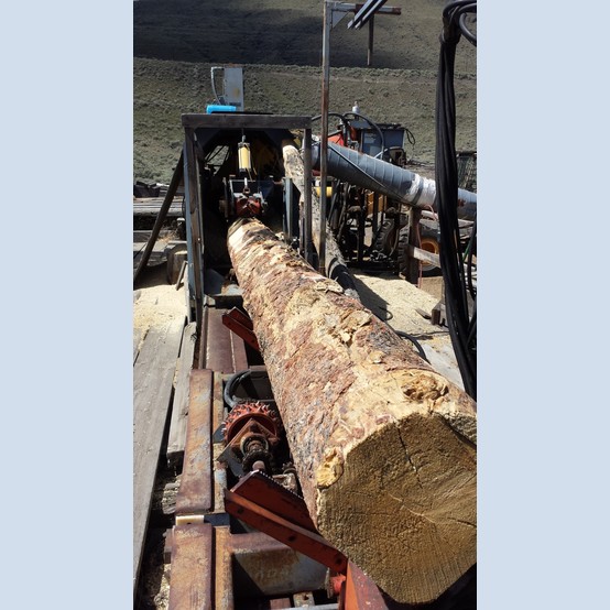 Log Profiler Package/Complete Plant