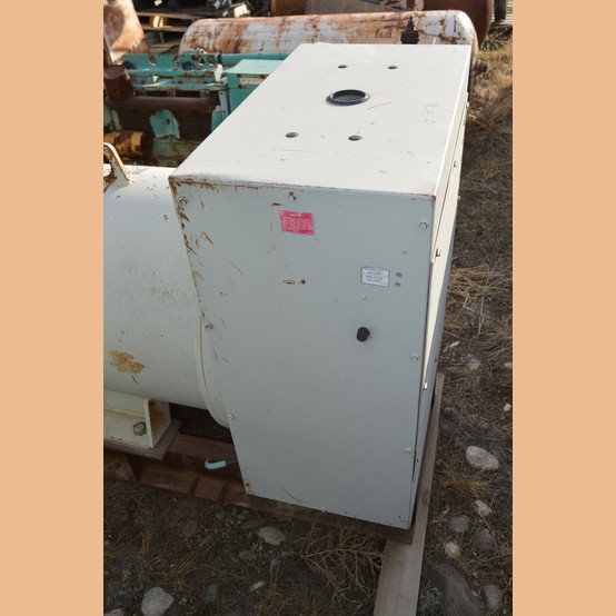 Marathon Electric Magna Plus 300 kW 240/480 Gen End