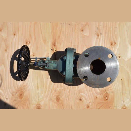 Red White 2.5 in. Gate Valves