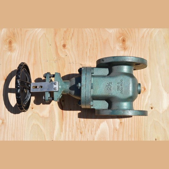 Red White 2.5 in. Gate Valves