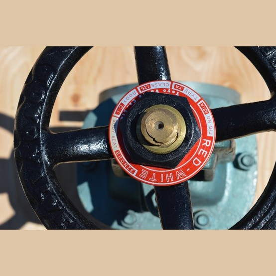 Red White 3 in. Gate Valves