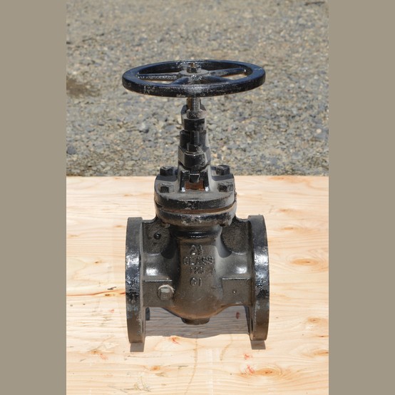 Watts Recco Lawrence 2.5 in. Gate Valve