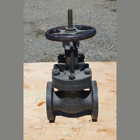 Crane 2.5 in. Gate Valve